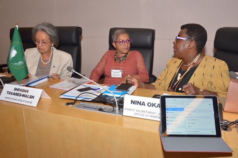 4th PAMCIT Executive Committee Meeting,Addis Ababa, Ethiopia | United ...